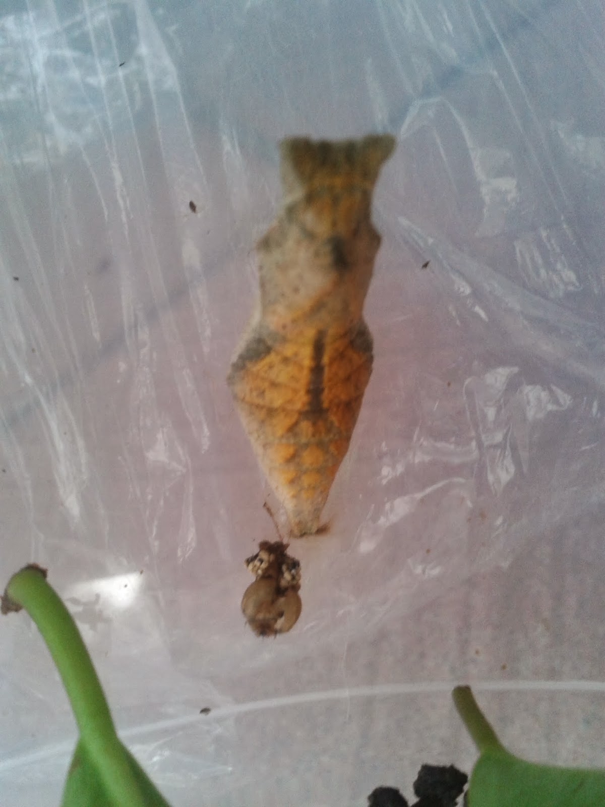 November 2013 ~ Parenting Times