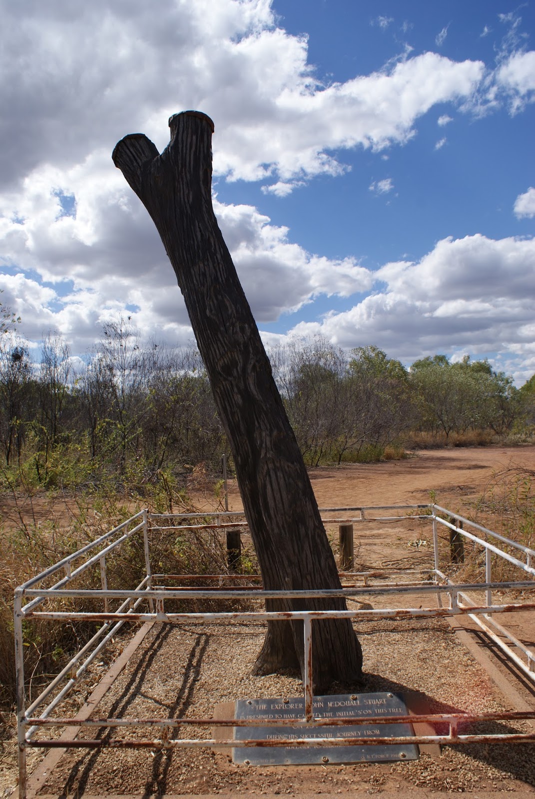 Amelia the explorer: Stuart Tree, near Daly Waters, NT