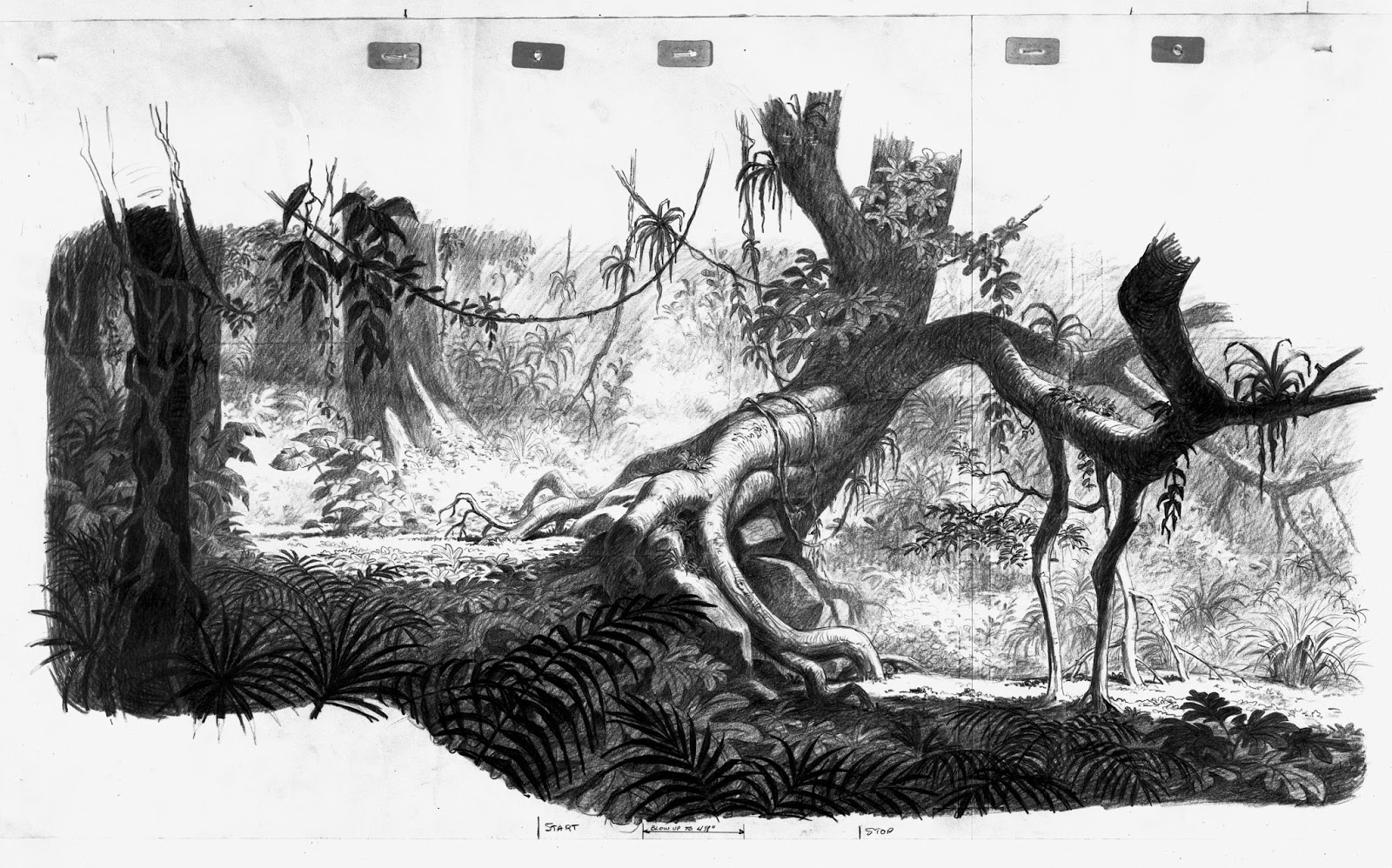 Deja View: Jungle Book Layout/Background II