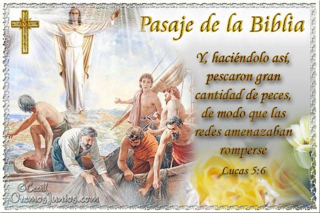 Vidas Santas: Santo Evangelio según san Lucas 5:6