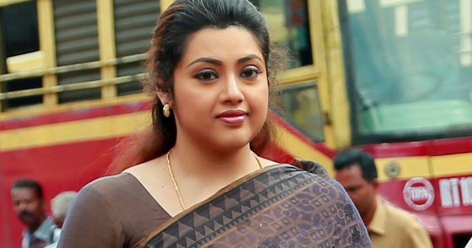 Meena Looks Very Cunning in Indian Saree, What you Say