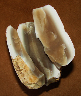 LA MIA PREISTORIA: ANATOMIA DELLA SELCE