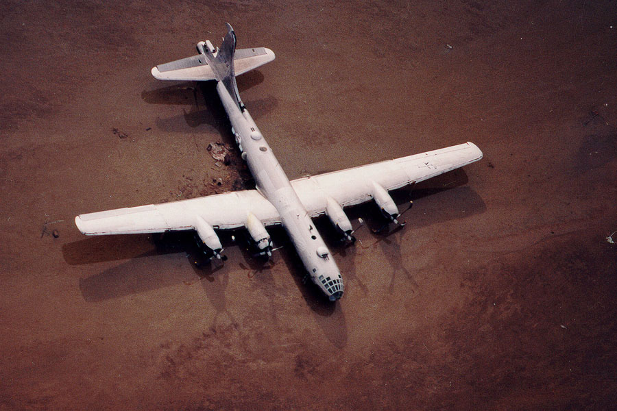 fatkiddown: The Kee Bird