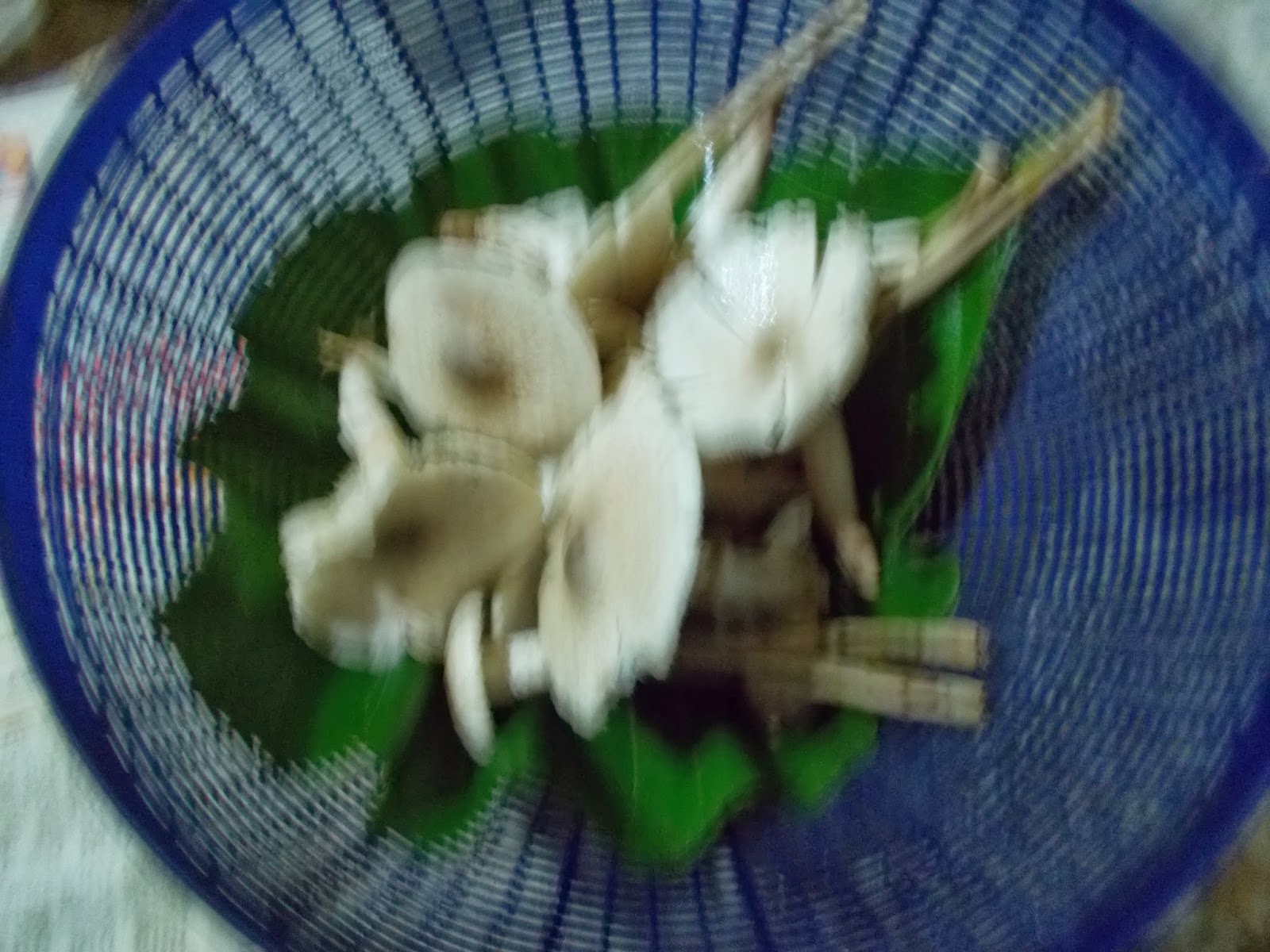 Kerala Traditional and Other Recipes: KATTU KOON ROAST / NATURAL/WILD ...