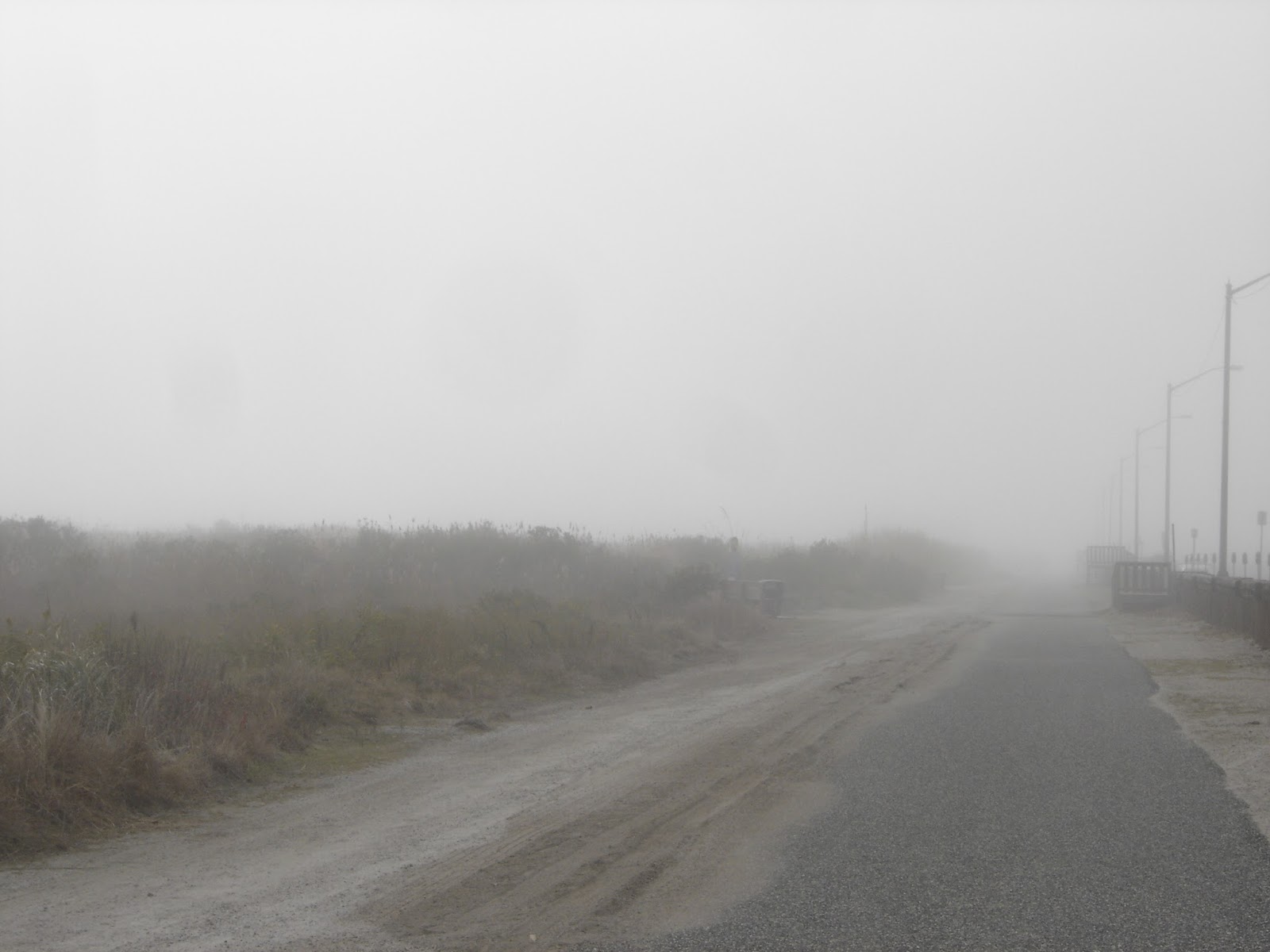 Wildwood Weather: May 2016