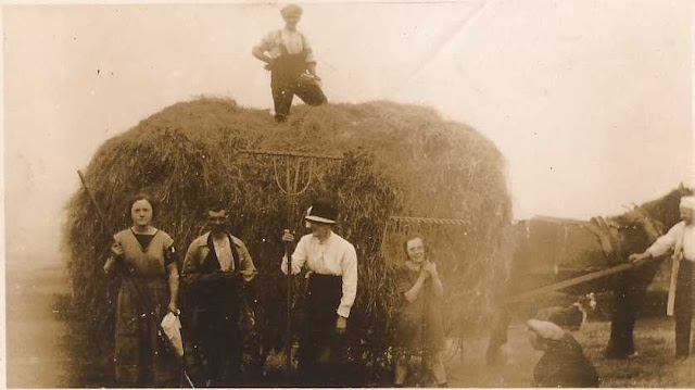 Bancrofts from Yorkshire: Farming in Yorkshire from the 1920's