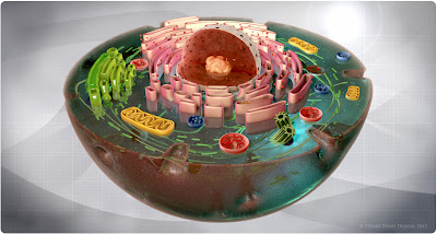 Paleo Illustrata: Scientific illustration: Cell schematic