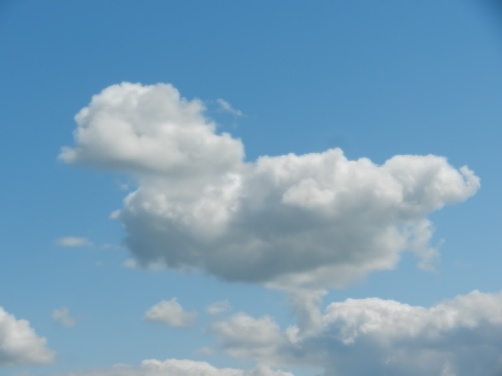 Creating Pictures in my Mind: Bird Cloud