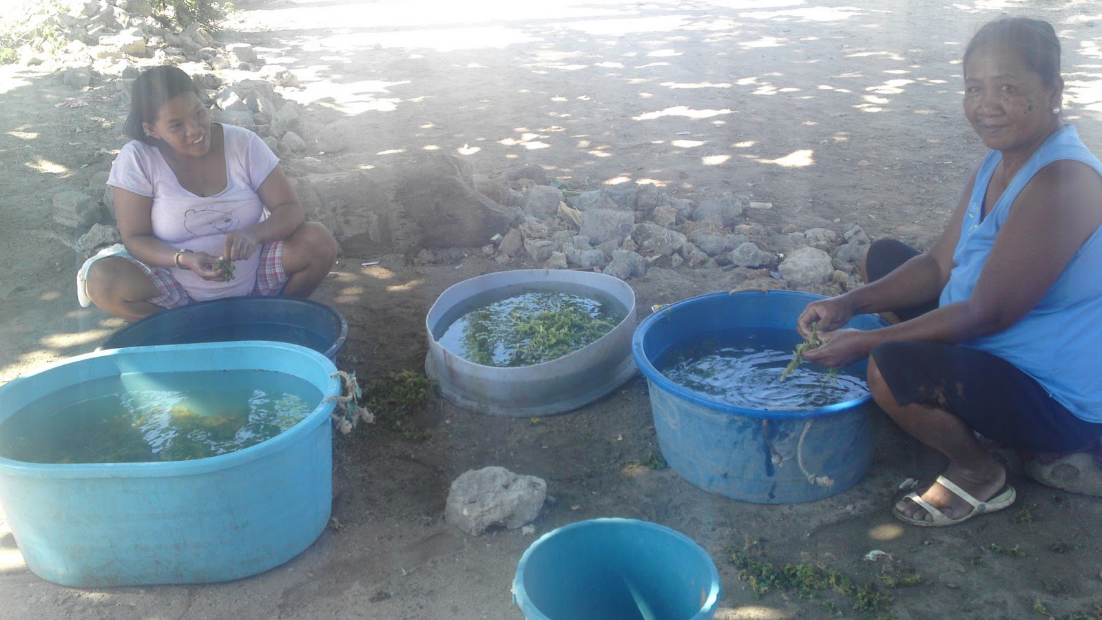 Cooking in Small Spaces: Kindness of Strangers 2