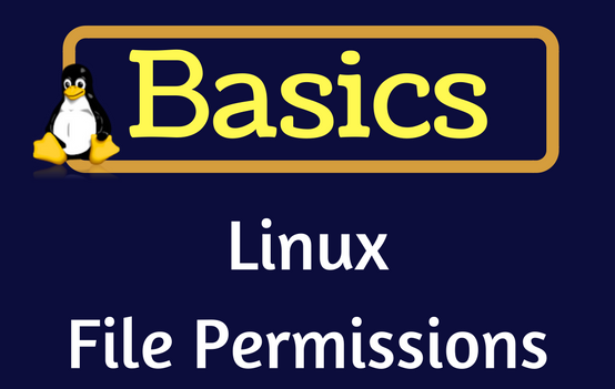 How To Change File Permissions In Ubuntu Cialiswise how-to-change-file-permissions-in-ubuntu-cialiswise