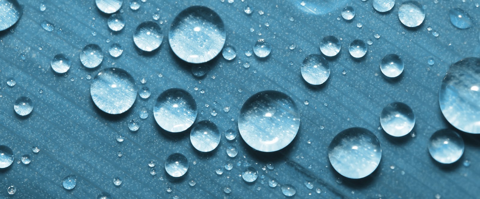 P2i - World Leader in Liquid Repellent Nano-Coatings: The Magic Lotus ...