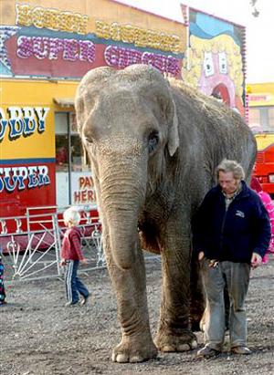 THE BALLOON MAN: 2011-03-27