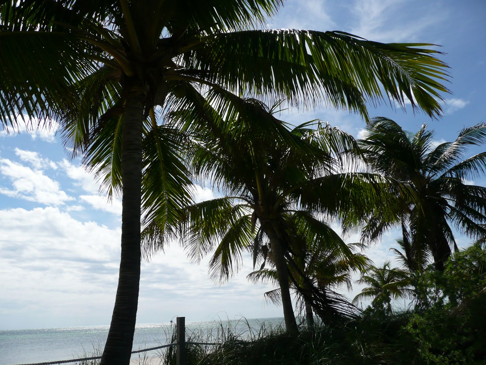 Visit Key West: Beautiful Key West