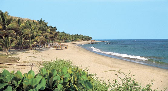 Sabiendo Mas Del Peru: El mar Tropical