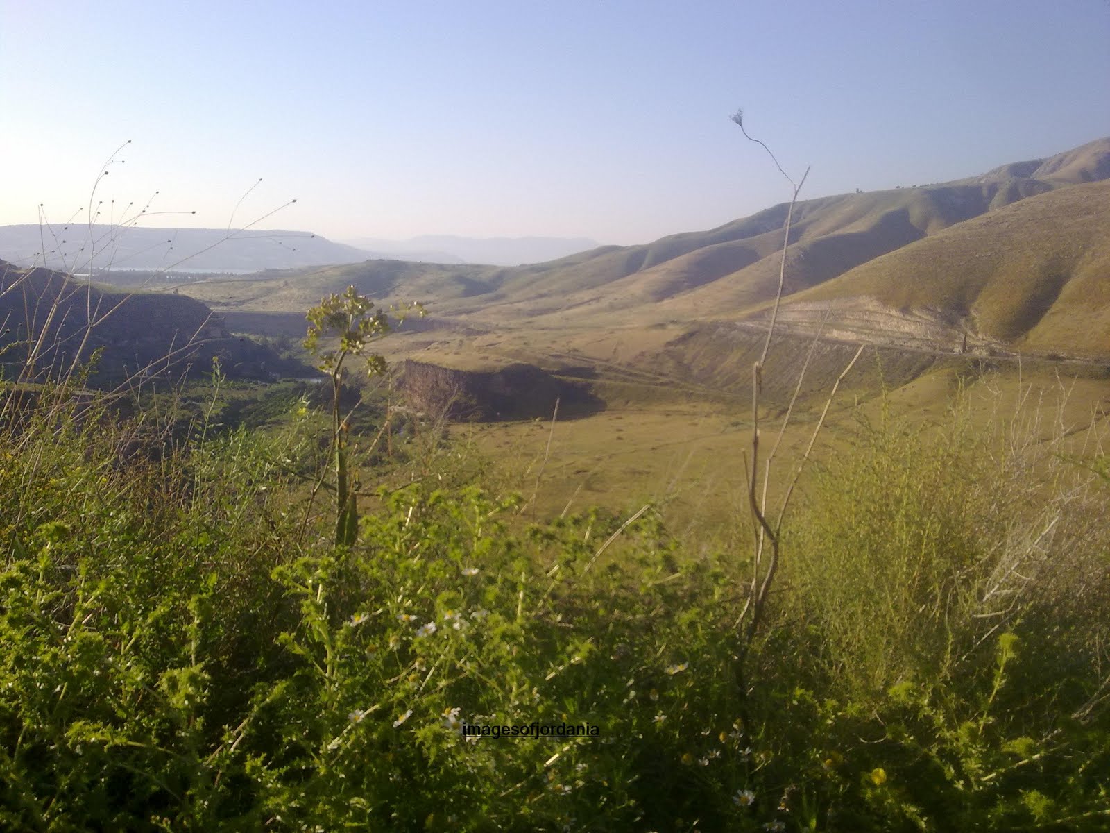 images of jordania: AL-Ghor-jordan