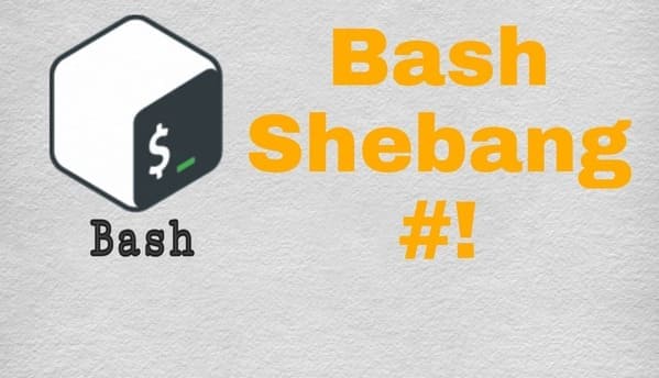 Bash Script Shebang - TutorialsMate Bash Script Shebang - TutorialsMate