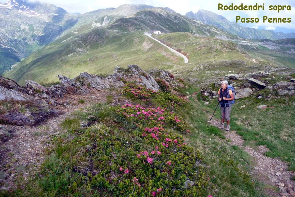 Fernando Gardini: Passo Pennes - Astenberg