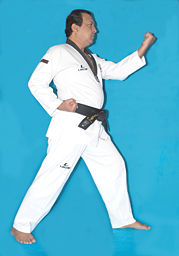 Taekwondo: Some Block in Taekwondo