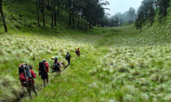 Estimasi Biaya Pendakian Gunung Lawu - Guide, Porter, Sewa Alat ...