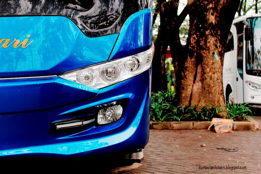 Foto Bis Putra Berdikari Scorpion X | Blognya Busmania
