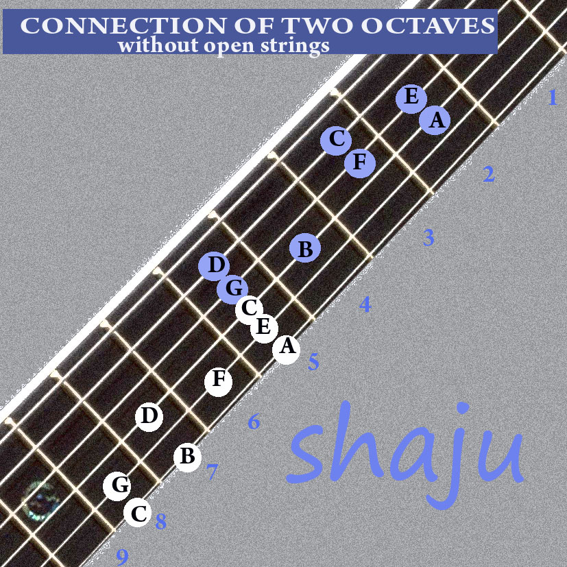 Shaju's Guitar Lessons: Connection of two octaves