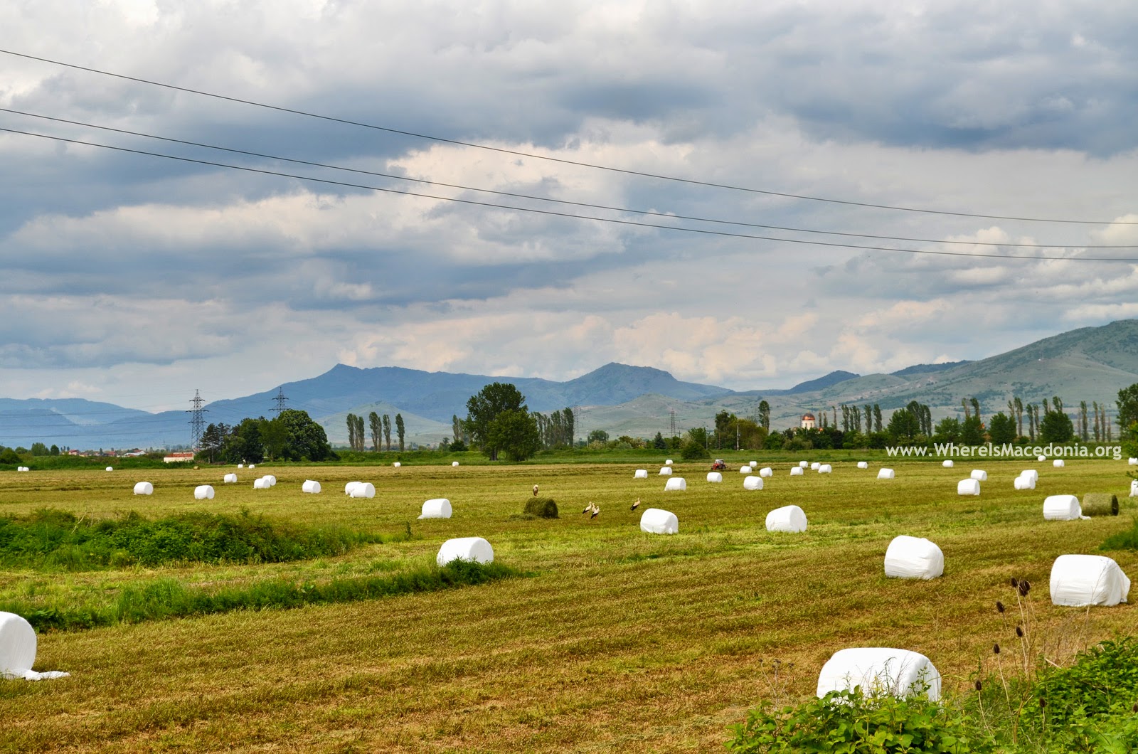 Општина Новаци - фото галерија - Macedonia Postcards