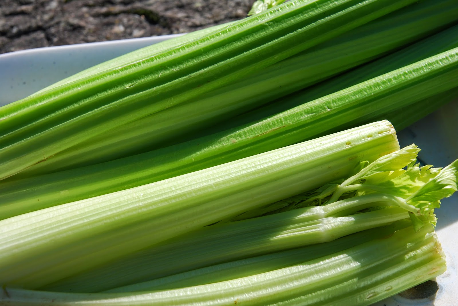 Mammas matoppskrifter: STANGSELLERI