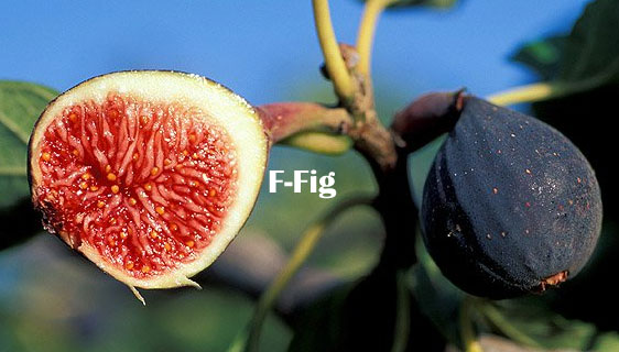 MyGreen Mart: F-Fig