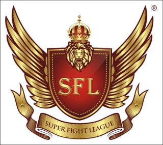chennai blog: SFL 20 to be Aired Today on Star Sports