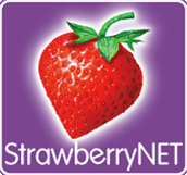 StrawberryNET.com Review | LIPS n BERRIES