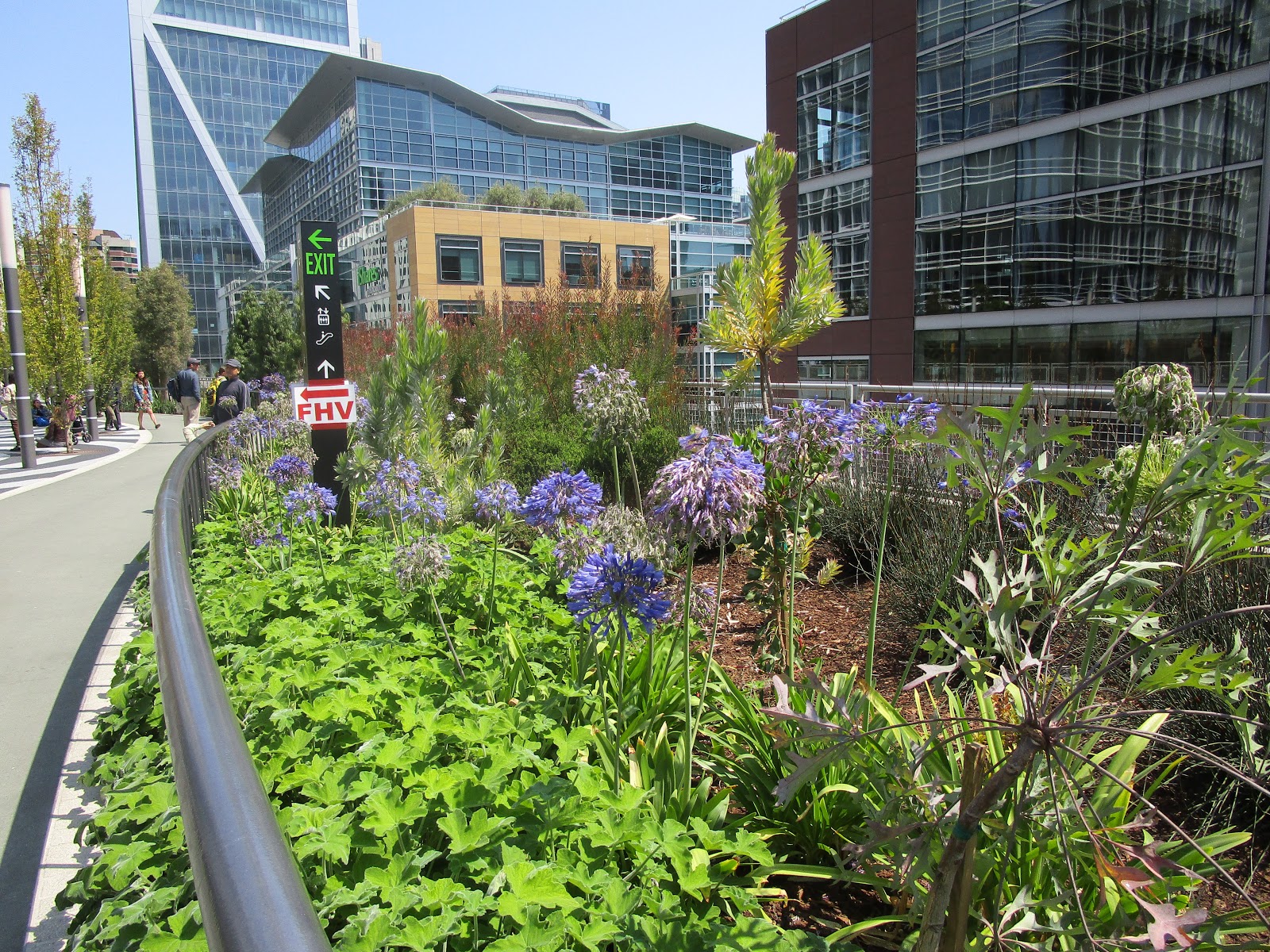 Adventures in Weseland: Salesforce Park