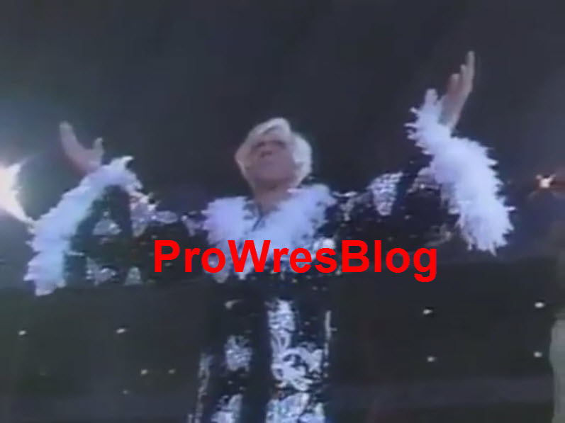 ProWresBlog: WCW/New Japan Supershow Review