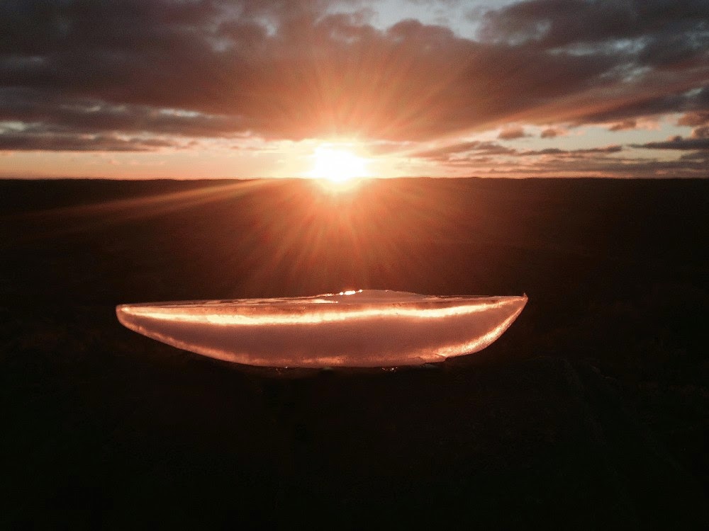 Artereal Gallery: SIMONE DOUGLAS EMBARKS ON MOST AMBITIOUS PROJECT TO DATE