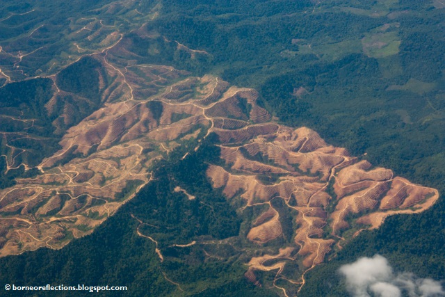 Borneo Reflections: A Visit To Tongod - Part 03 Tawau back to Kota Kinabalu