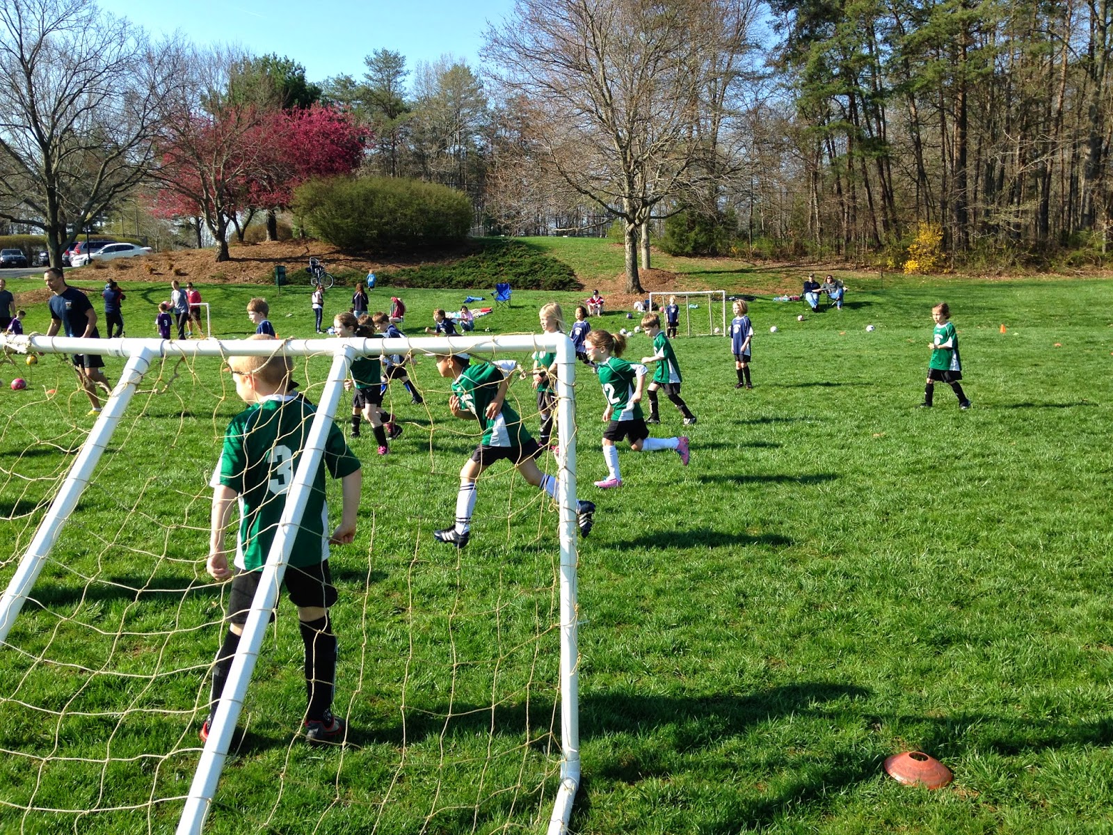 1001 Goals: Spring Soccer Season