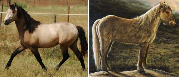 NephiCode: Question: When Did Horses Live in the Americas? Part I