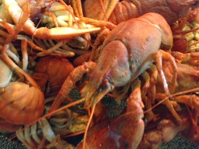 Rainbow in the dark: Raci....."the raci"!!! Adica mancare din balta ;)