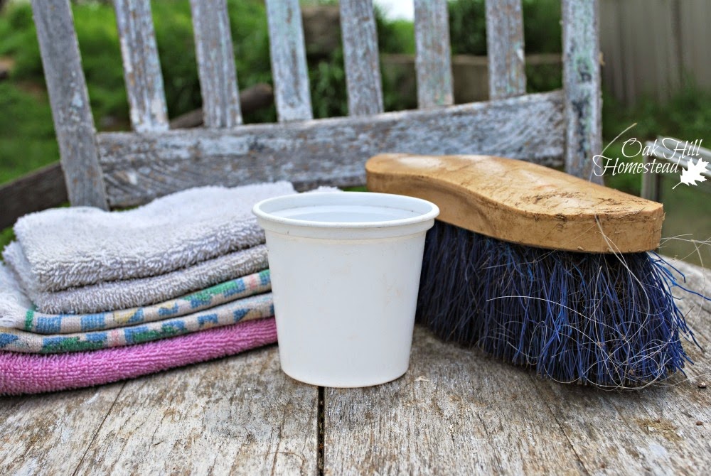 Goat Milking Supplies You Need to Milk a Goat - Oak Hill Homestead