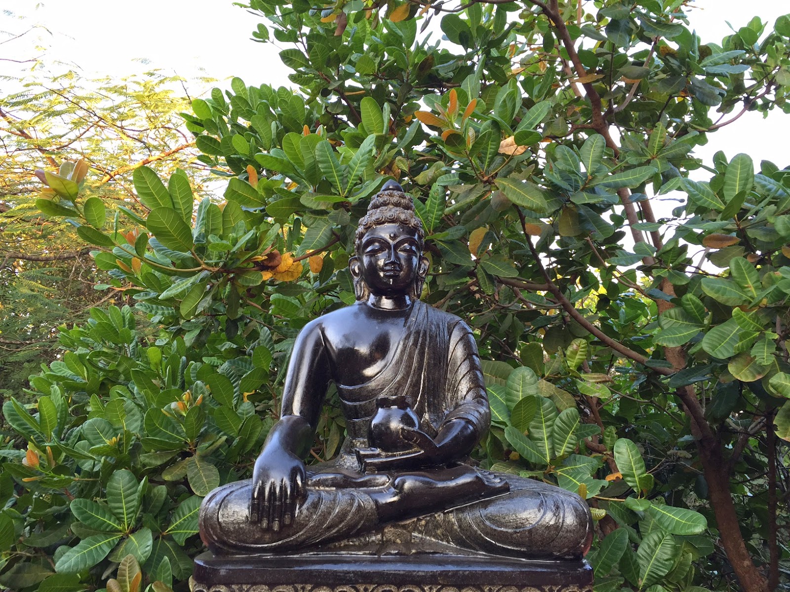 Maharastra Homestays: Review of Aryan Farms | Exotic Homestay | Dapoli