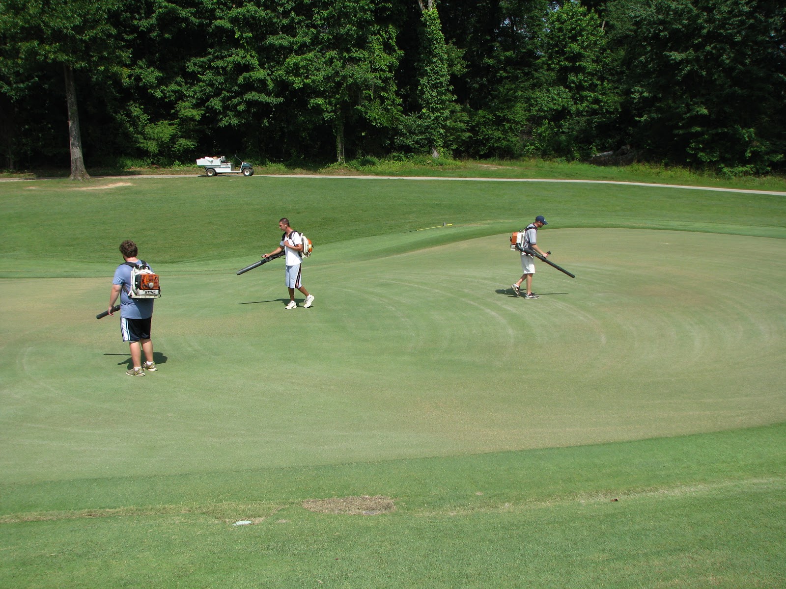 The Bear Trace at Harrison Bay Golf Course Maintenance: Greens ...