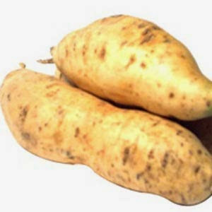 Dikas na Cozinha: Variedade de Batatas e Seus preparo