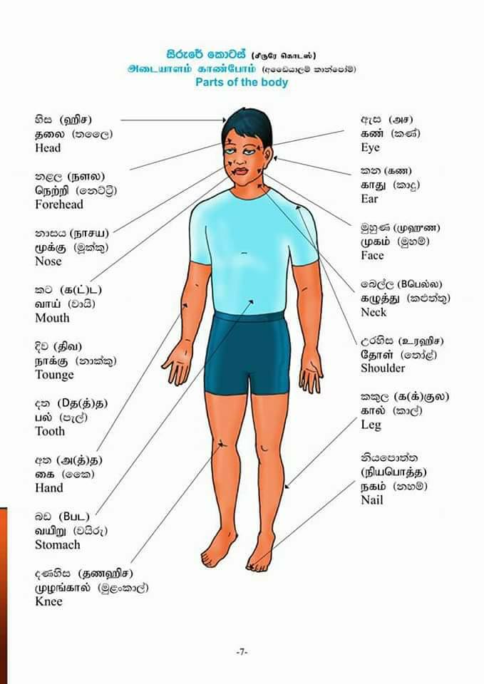 Our Study World Sinhala Tamil And English Basic Learn our-study-world-sinhala-tamil-and-english-basic-learn