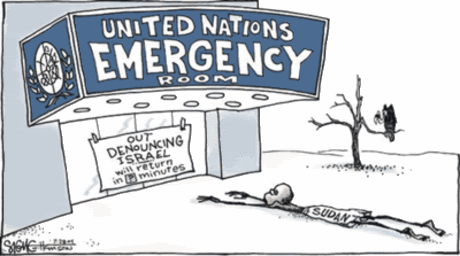 Presumptuous Politics: United Nations Cartoons