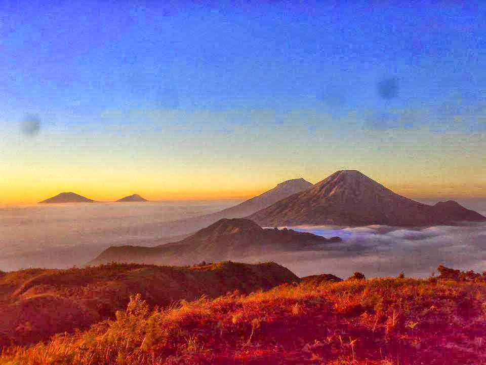 Adventure-Jogja: Keindahan bukit Teletubbies dan taman bunga Daisy yang ...