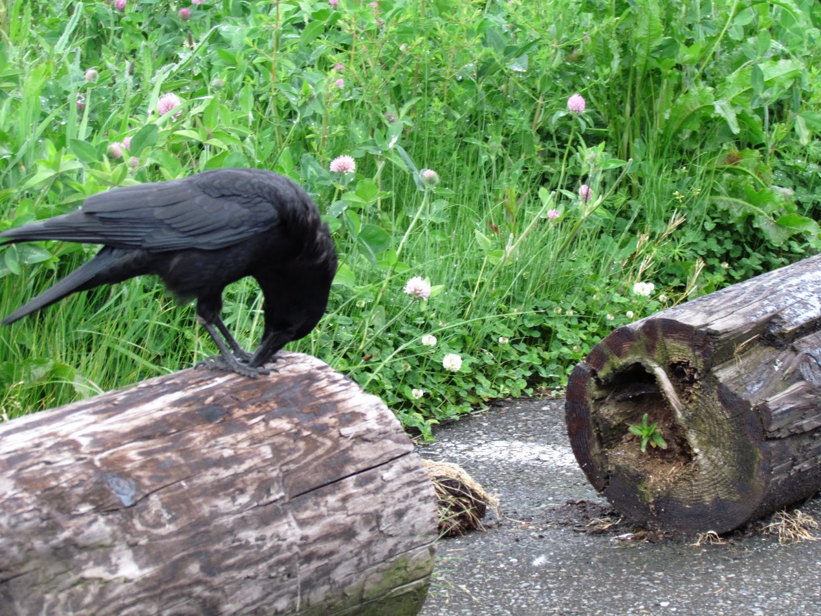 Scene Through My Eyes: A Favorite Thing