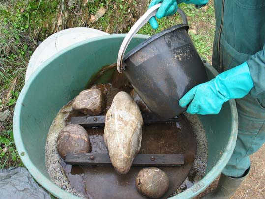 Hestel Tellus - Compost Boerderij Portugal: Het composteren van grassen ...