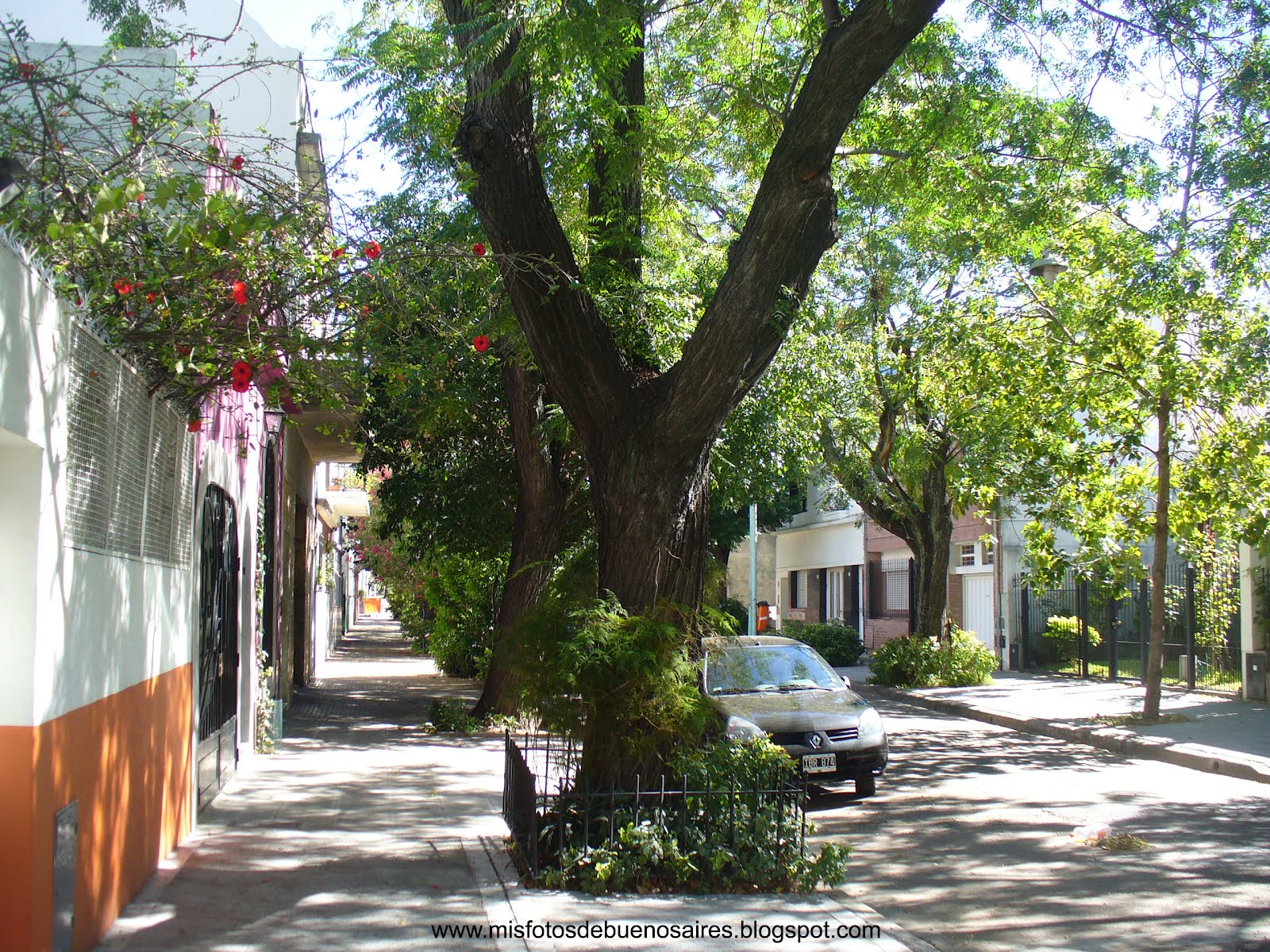 MIS FOTOS DE BUENOS AIRES: Parque Chas