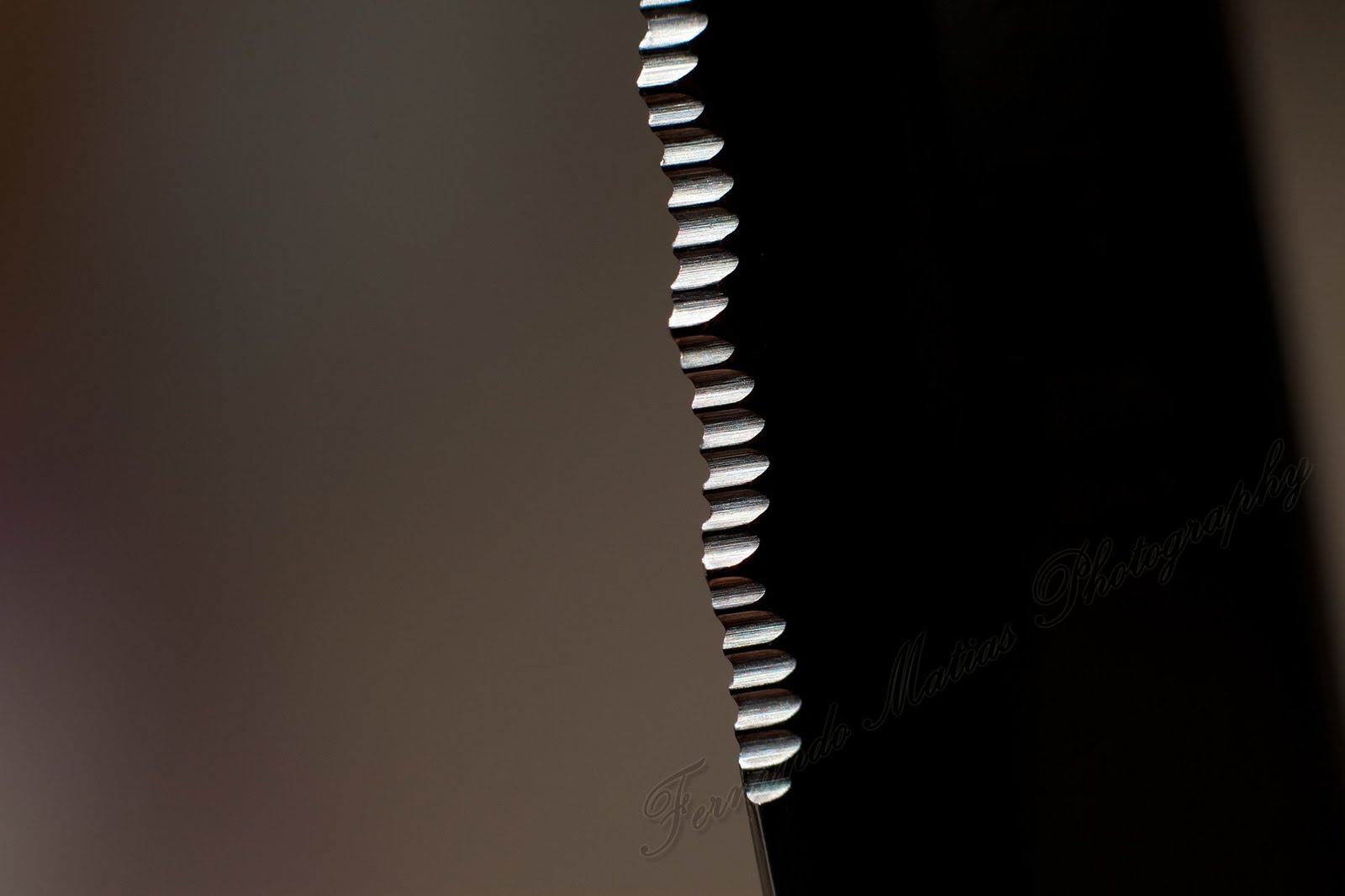 Fernando Matias Photography - Ottawa Ontario - Ottawa Wedding ...