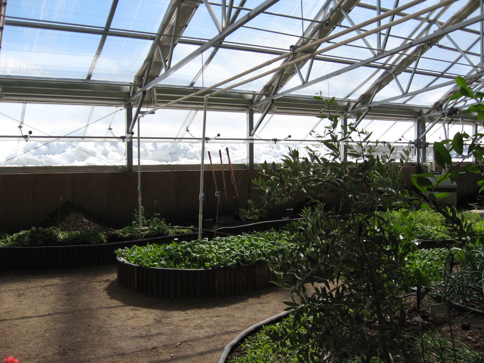 Elkstone Farm: April 2011