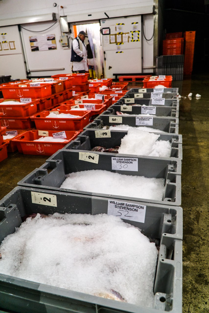Through the Gaps! - Newlyn Fishing News: The first Monday fish auction ...